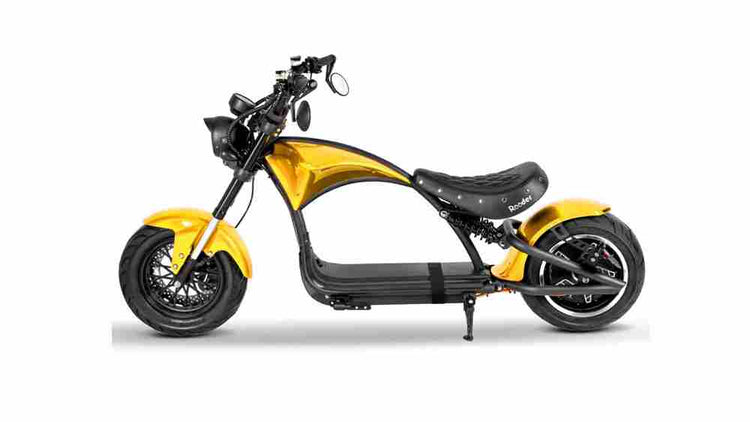 City Coco For Sale – citycoco chopper