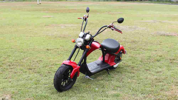 Motor City Coco Factory – Rooder citycoco choppers