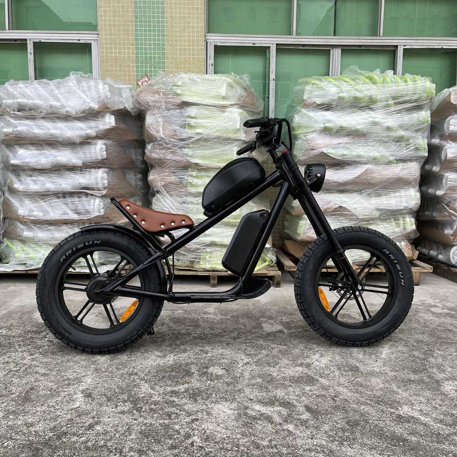 Best Electric Bike – citycoco chopper